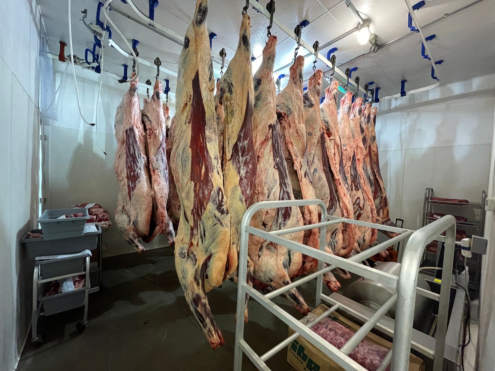 Beef industry sees potential in new, small local meat plants